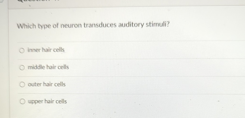 Solved Which type of neuron transduces auditory stimuli? | Chegg.com