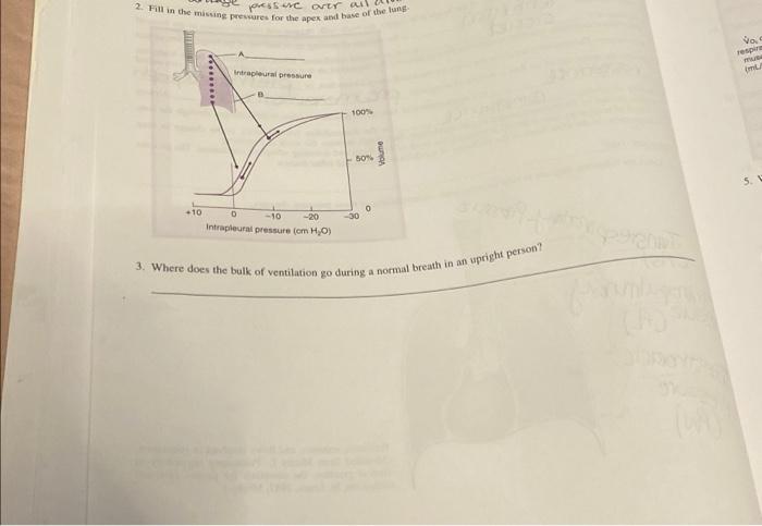 Solved 2. Fill in the missing pressures for the apex and | Chegg.com