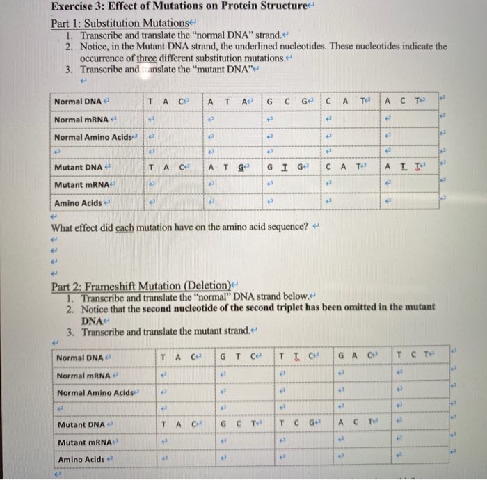 Solved Exercise 2: Protein Synthesis and the Genetic Code | Chegg.com
