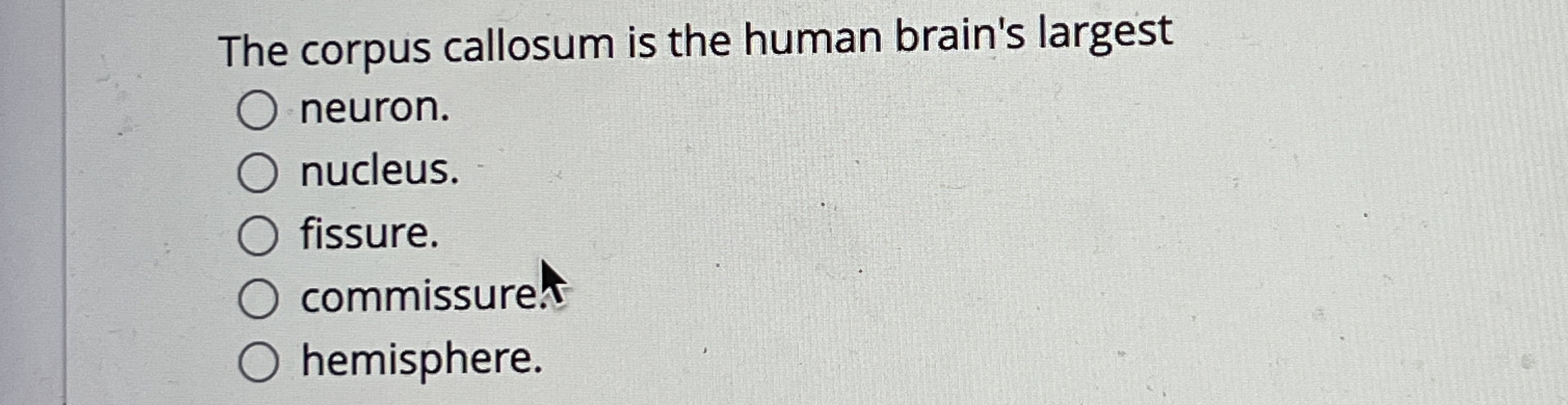 Solved The corpus callosum is the human brain's | Chegg.com