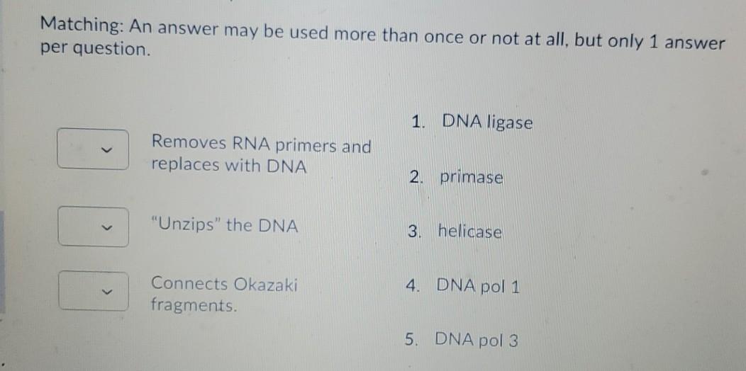 Solved Shugoshin is most important in metaphase anaphase 1 | Chegg.com Solved Shugoshin is most important in metaphase anaphase 1 | Chegg.com