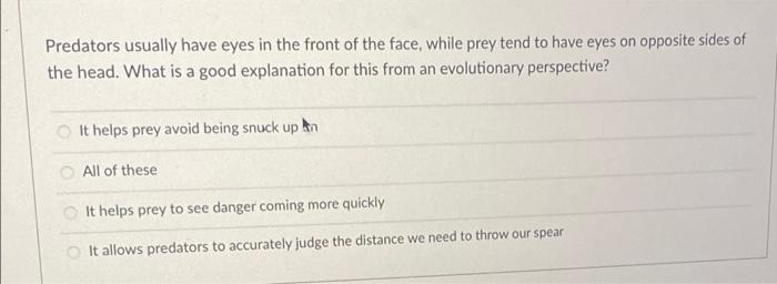 Solved How does the Beuchet Chair illusion work? By placing | Chegg.com