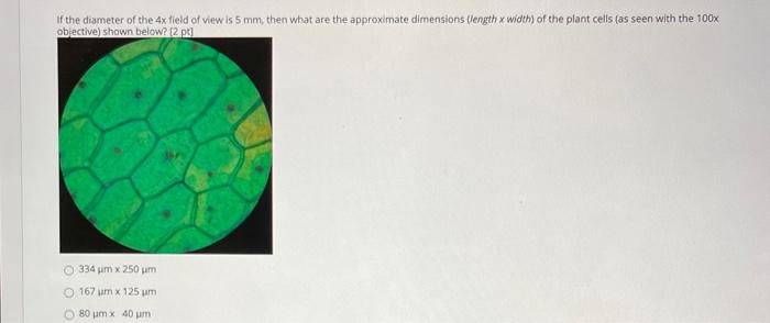 Solved if the diameter of the 4x field of view is 5 mm, then | Chegg.com