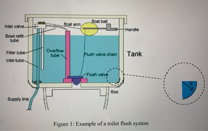 Solved Analyse & describe the basic principles of a flush | Chegg.com