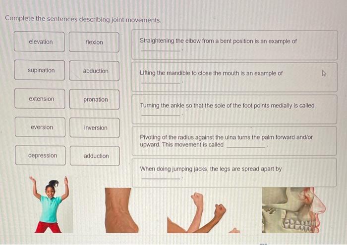 Solved Complete the sentences describing joint movements. | Chegg.com