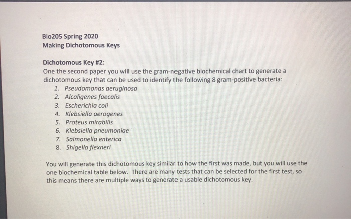 Solved Bio 205 Spring 2020 Making Dichotomous Keys | Chegg.com