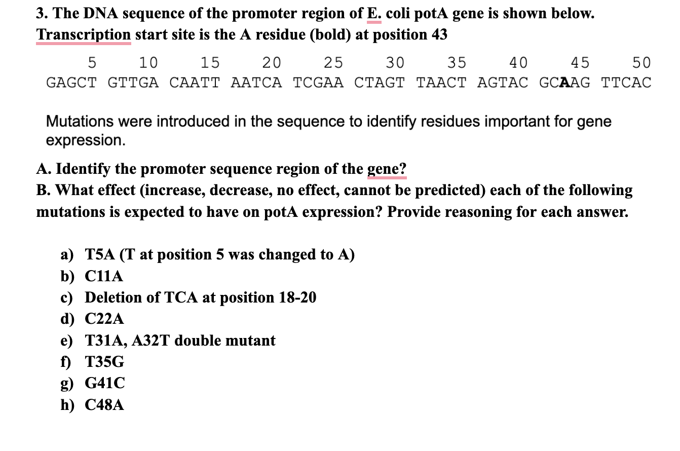 Solved The DNA sequence of the promoter region of E. ﻿coli | Chegg.com