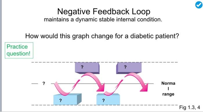 Solved Negative Feedback Loop maintains a dynamic stable | Chegg.com