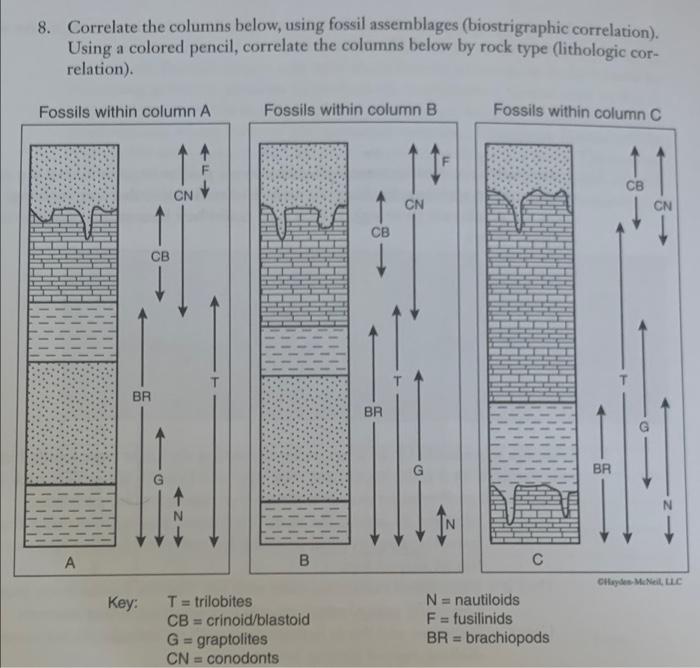 Solved 8. Correlate the columns below, using fossil | Chegg.com
