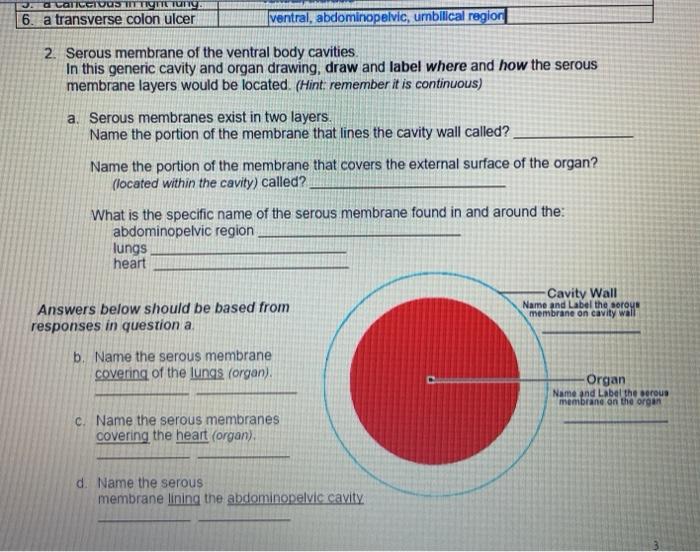 Solved CATECIVOTIGUILTUNG 6. a transverse colon ulcer | Chegg.com