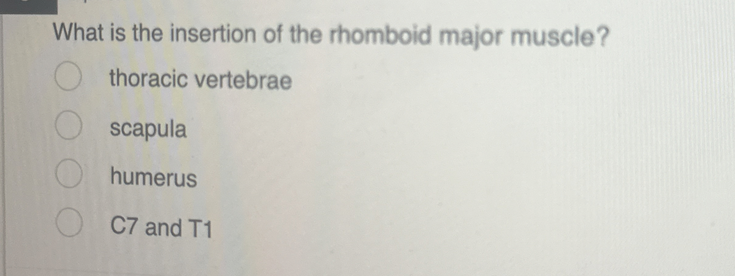 Solved What is the insertion of the rhomboid major | Chegg.com