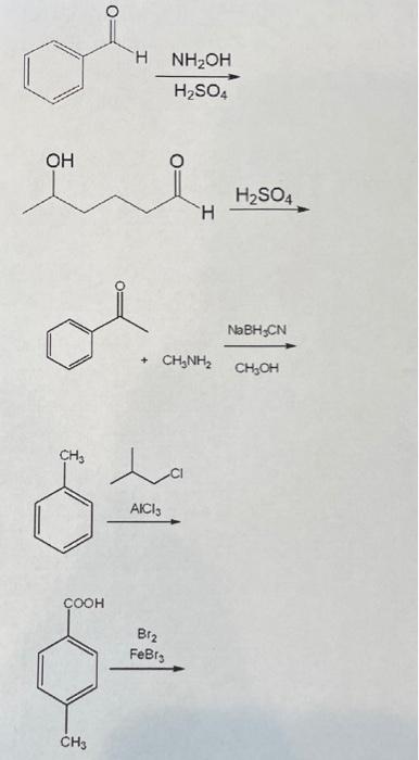 Solved H NH2OH H2SO4 OH vi H2SO4 H ol NaBH CN + CH3NH2 CHOH | Chegg.com