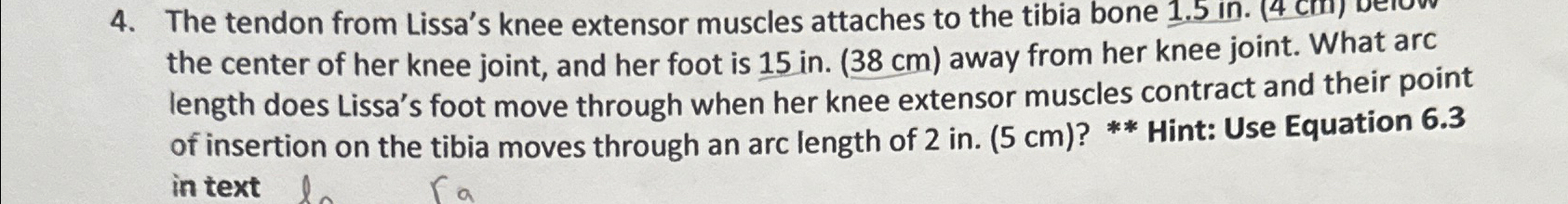 Solved The tendon from Lissa's knee extensor muscles | Chegg.com
