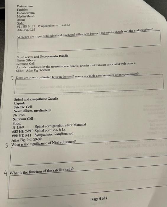 Solved Perincurium Fascicles Endoneurium Myelin Sheath Axons | Chegg.com