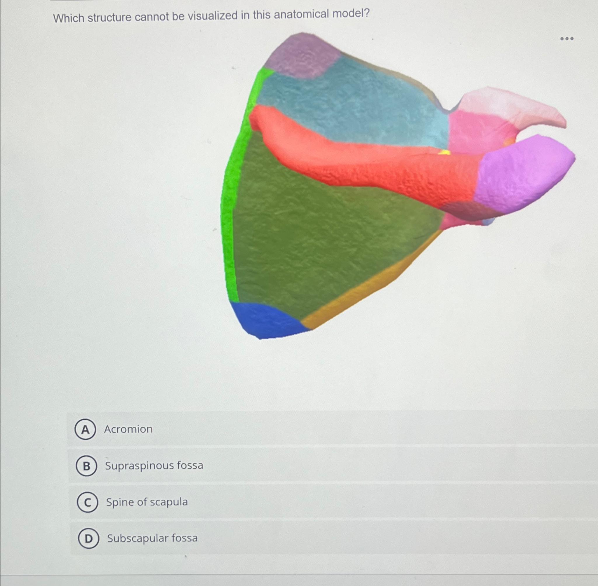 Solved Which structure cannot be visualized in this | Chegg.com