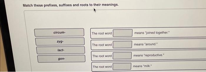 Solved Match these prefixes, suffixes and roots to their | Chegg.com
