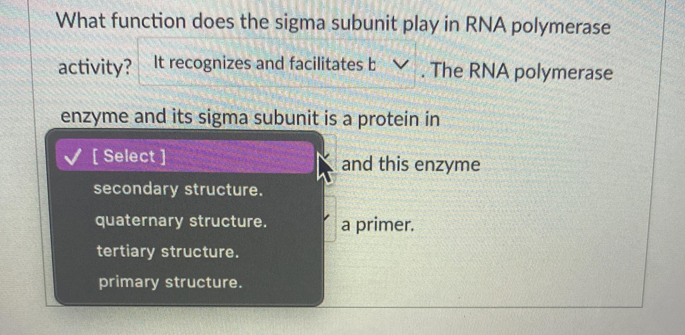 Solved What function does the sigma subunit play in RNA | Chegg.com