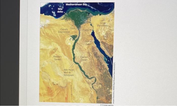 Solved 7 | Chegg.com