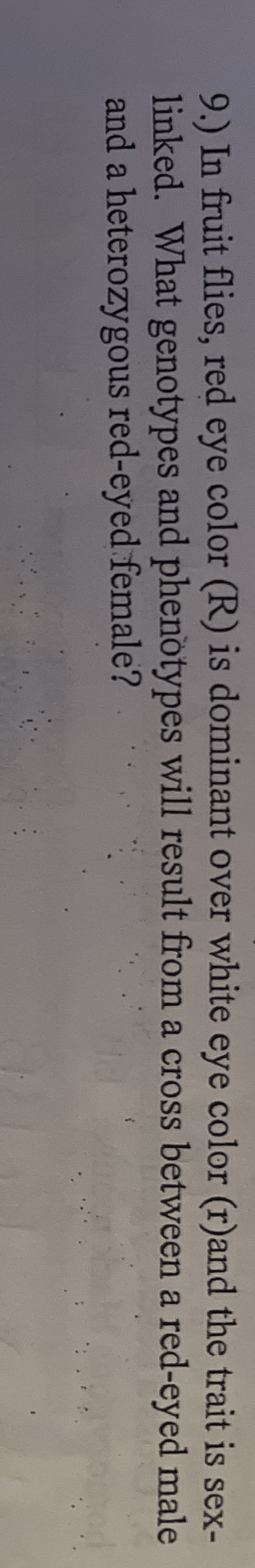 Solved 9.) ﻿In fruit flies, red eye color (R) ﻿is dominant | Chegg.com