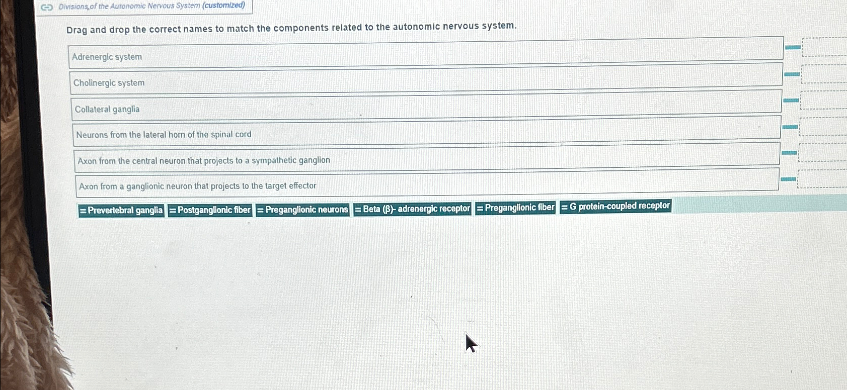 Solved Divisions, of the Autonomic Nervous System | Chegg.com
