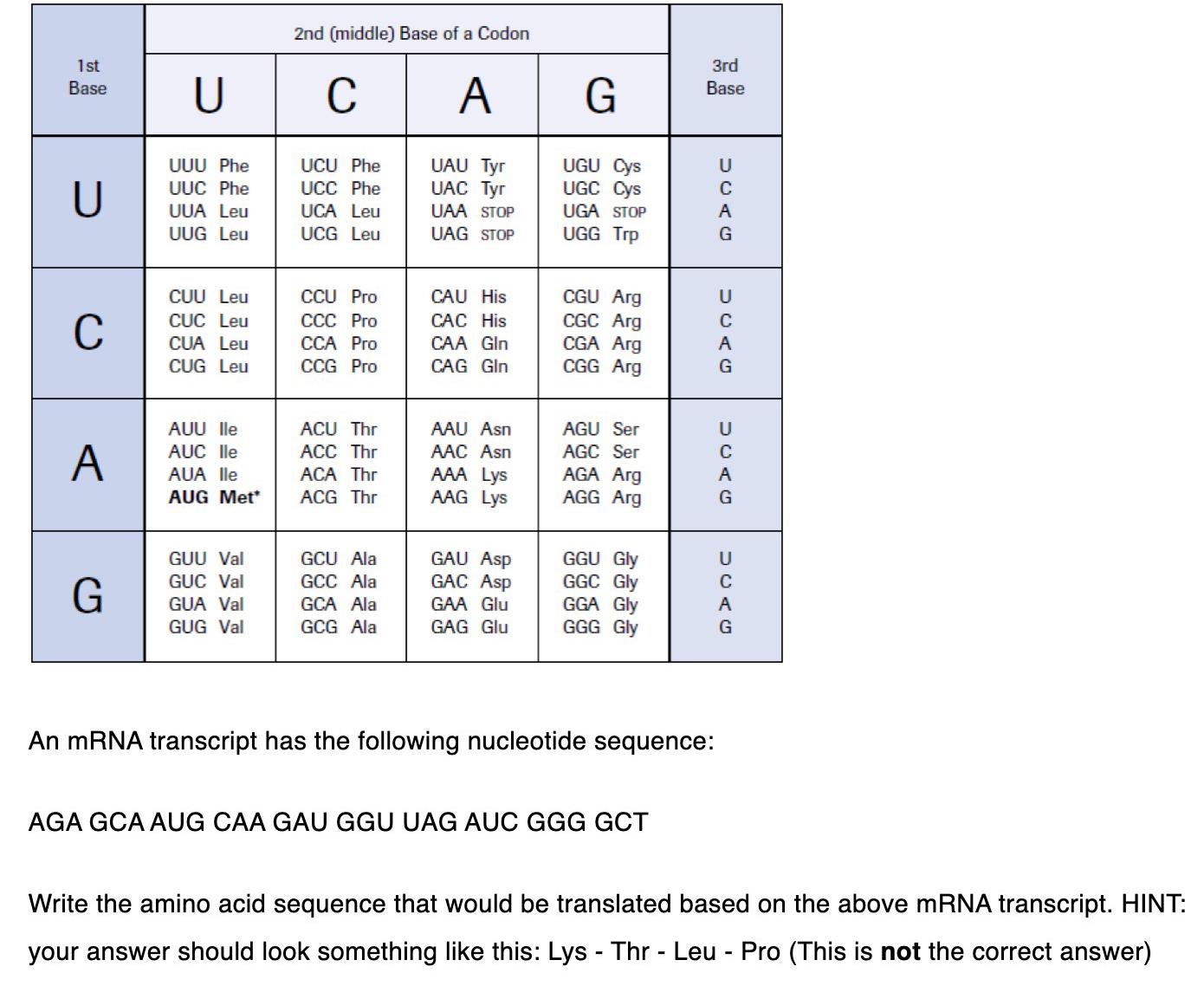 Solved An mRNA transcript has the following nucleotide | Chegg.com