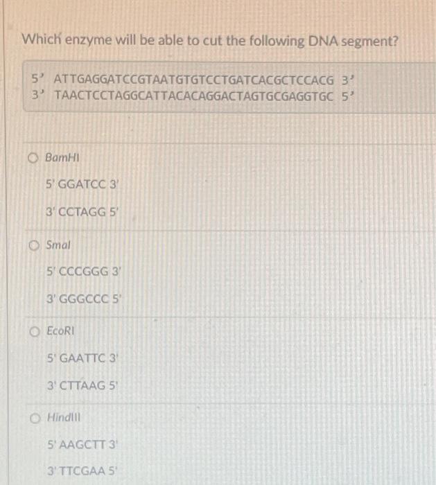 Solved Which enzyme will be able to cut the following DNA | Chegg.com