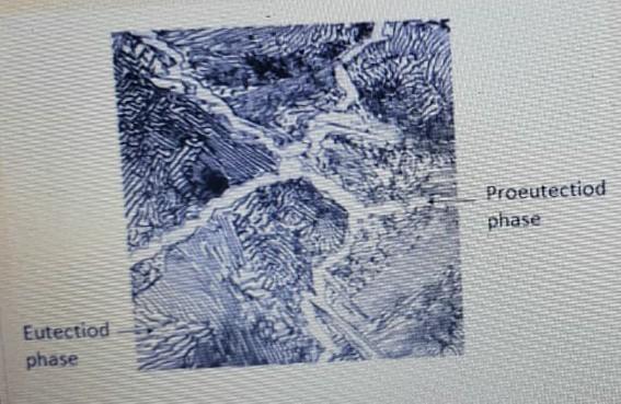 Solved An iron-carbon alloys consists of proeutectiod phase | Chegg.com
