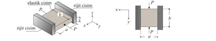 Solved Rectangular prism shaped elastic body with dimensions | Chegg.com