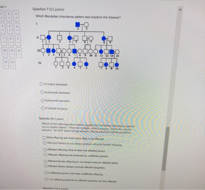 Solved Question 7 (0.5 points) Which Mendelian inheritance | Chegg.com