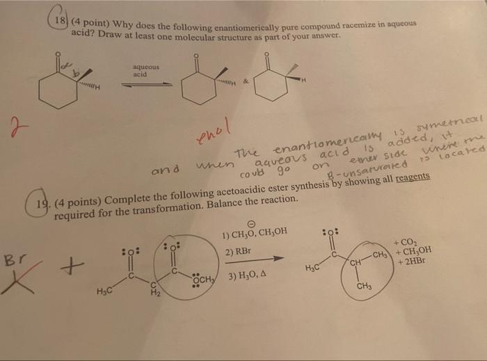 Solved (18) 18 (4 point) Why does the following | Chegg.com