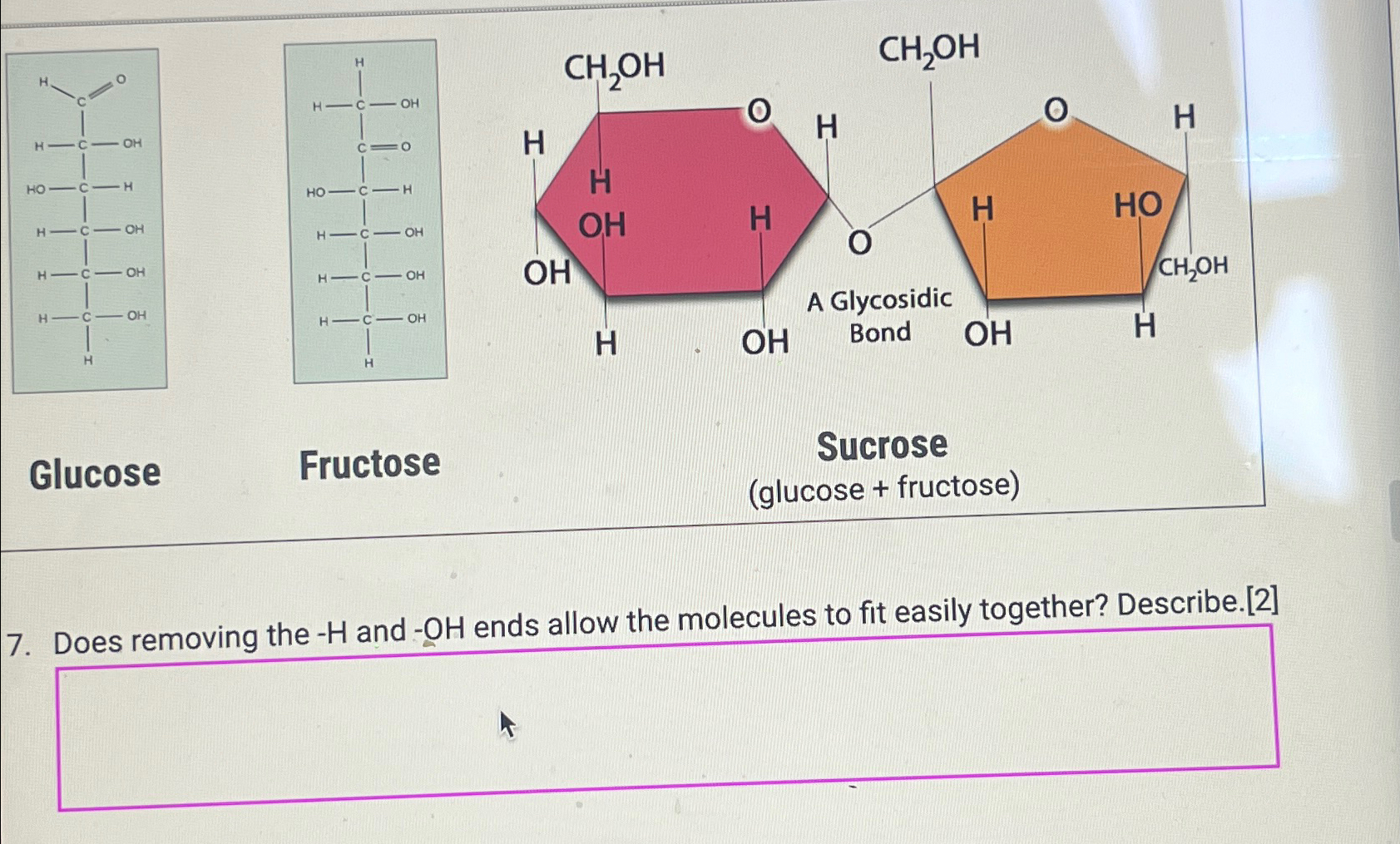 Solved GlucoseFructoseSucrose(glucose + ﻿fructose)ends allow | Chegg.com