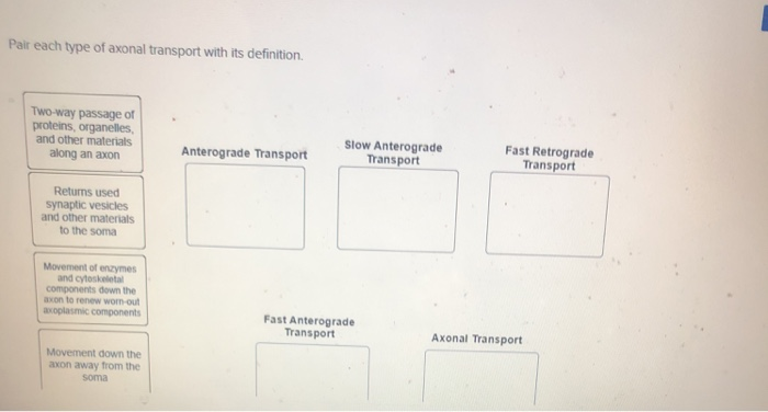 Solved Pair each type of axonal transport with its | Chegg.com