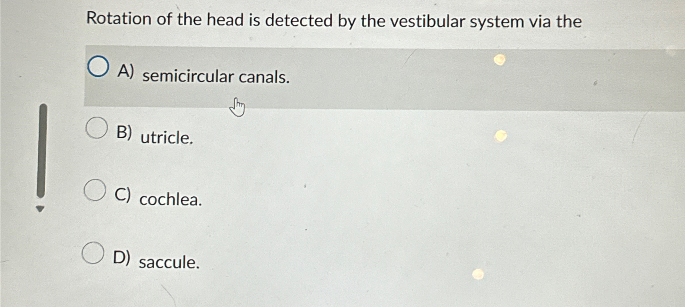 Solved Rotation of the head is detected by the vestibular | Chegg.com