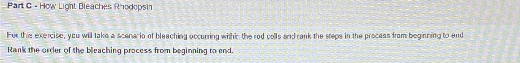 Solved Part C - ﻿How Light Bleaches RhodopsinFor this | Chegg.com