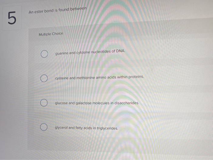 Solved An ester bond is found between 5 Multiple Choice | Chegg.com