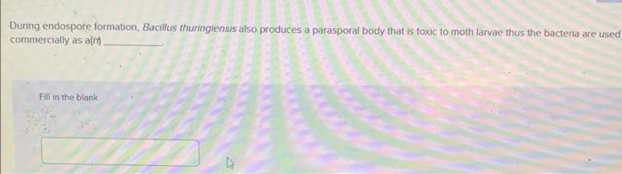 Solved During endospore formation. Bacillus thuringiensis | Chegg.com