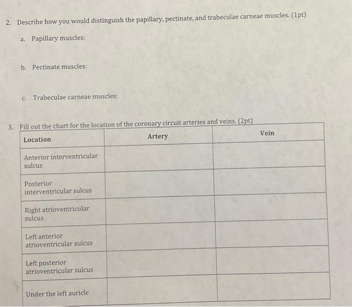 [Solved]: 2. Describe how you would distinguish the papilla