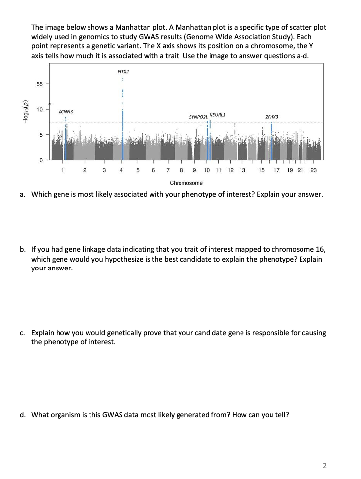 Solved by an EXPERT The image below shows a Manhattan plot. A Manhattan ...