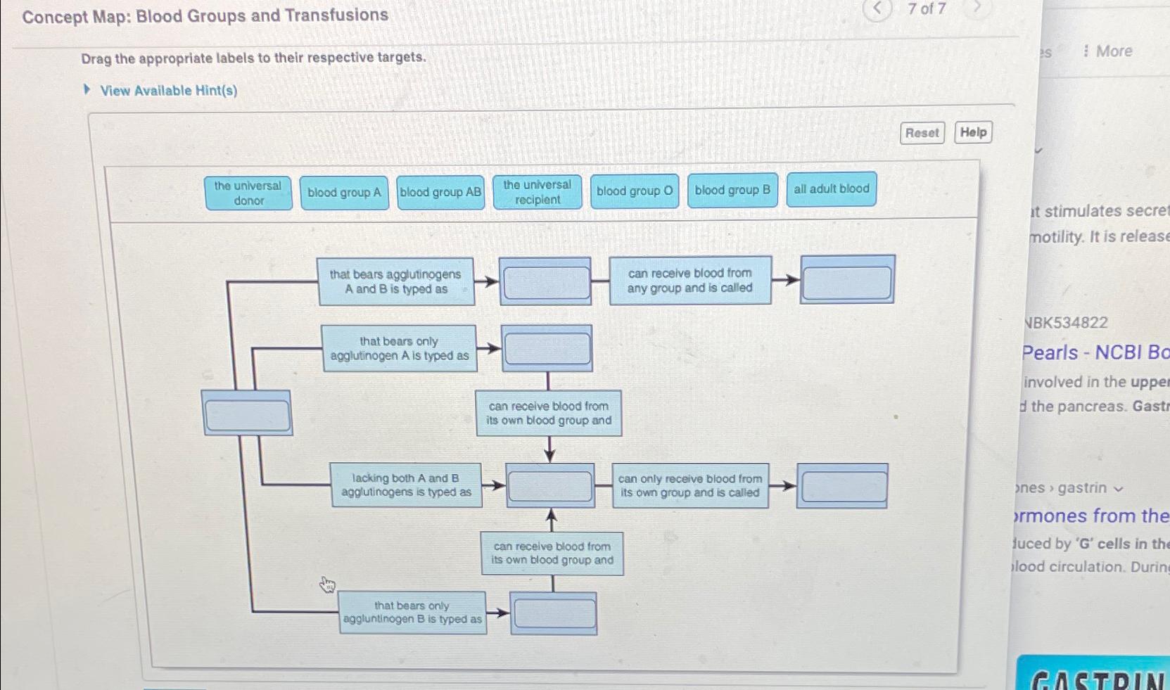 Solved Concept Map: Blood Groups and Transfusions7 ﻿of 7Drag | Chegg.com