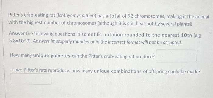 Solved Pitter's crab-eating rat (Ichthyomys pittieri) has a | Chegg.com