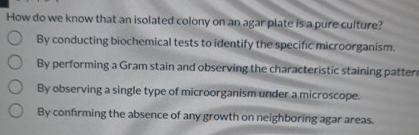 Solved How do we know that an isolated colony on an agar | Chegg.com