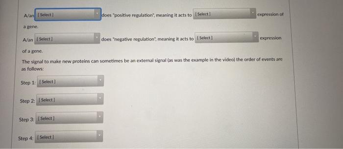 Solved blank 1 & blank 2 & blank 3 & blank 4 options: | Chegg.com