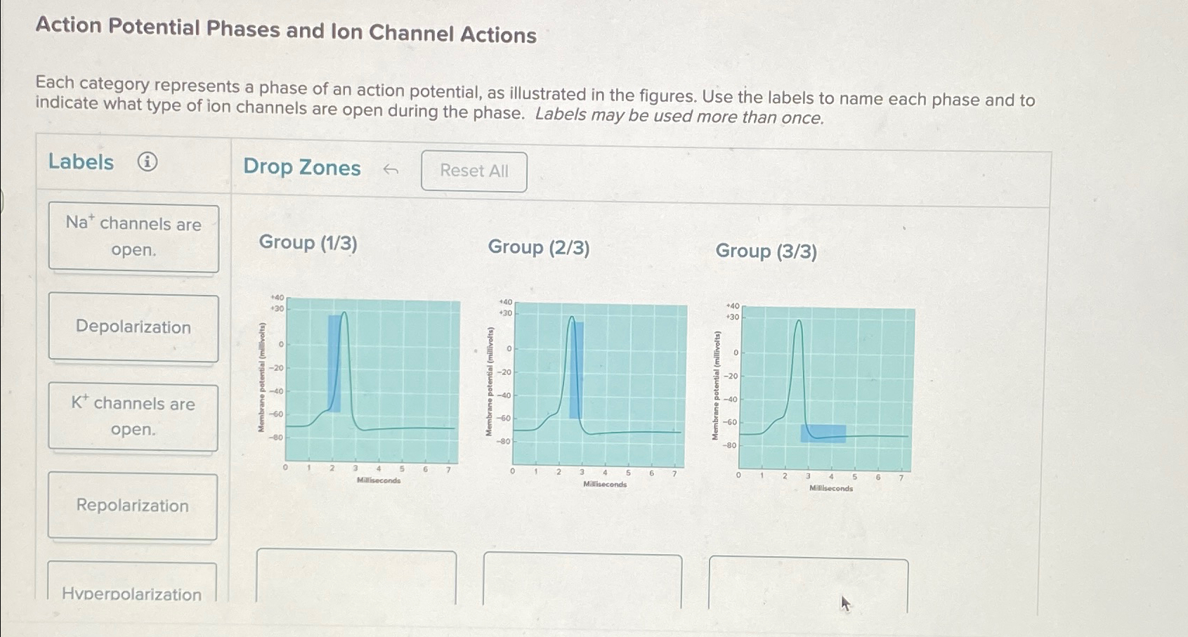 Solved Action Potential Phases and Ion Channel ActionsEach | Chegg.com