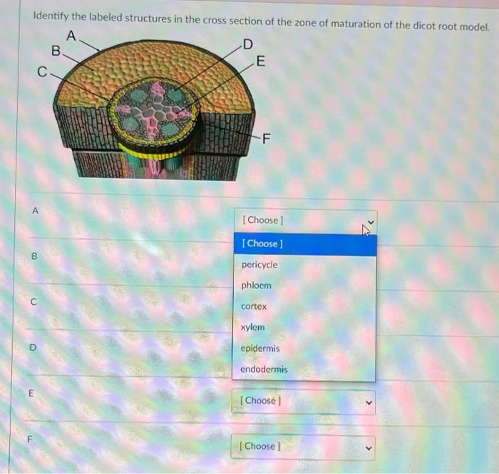 Solved Identify the labeled structures in the cross section | Chegg.com