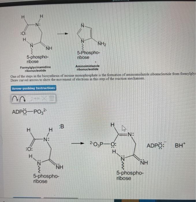 Solved One of the steps in the biosynthesis of inosine | Chegg.com