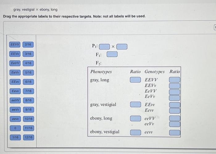 genetics | Chegg.com