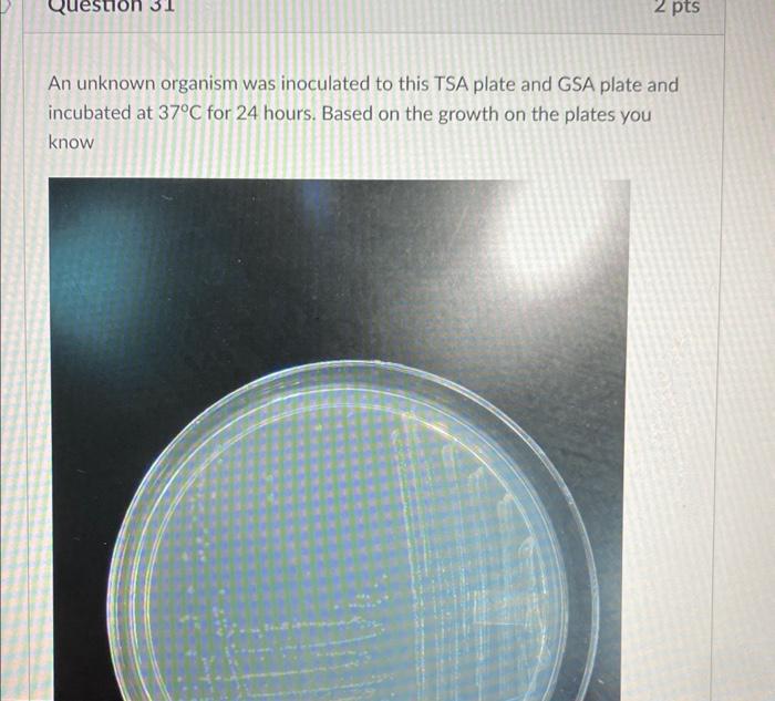 Solved An unknown organism was inoculated to this TSA plate | Chegg.com