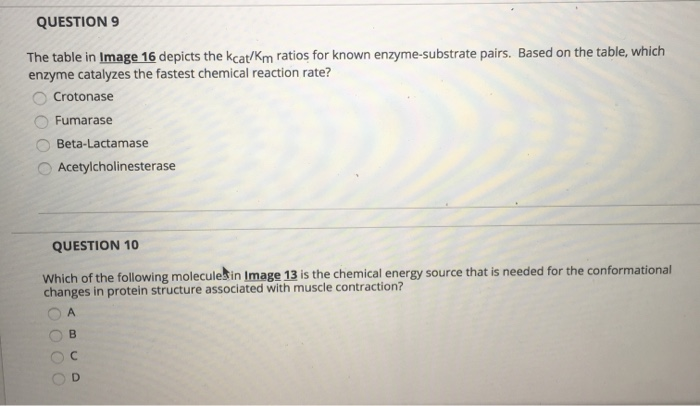 Solved QUESTION 9 The table in Image 16 depicts the kcat/Km | Chegg.com