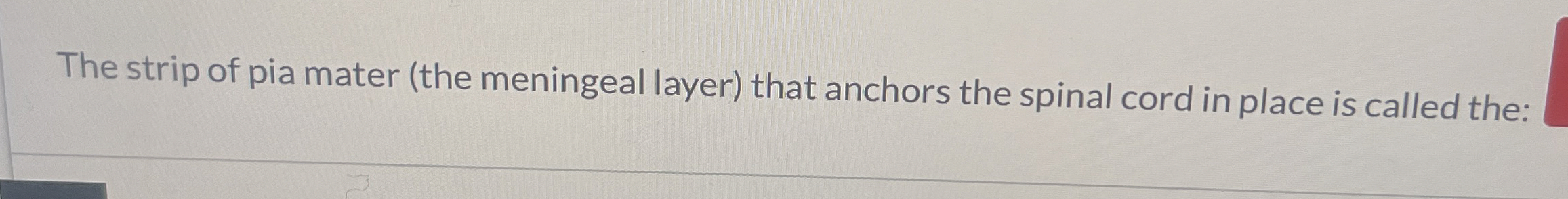 Solved The strip of pia mater (the meningeal layer) ﻿that | Chegg.com