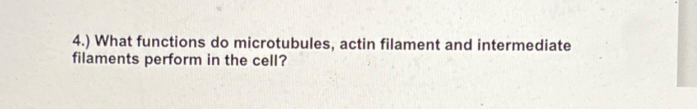 Solved 4.) ﻿What functions do microtubules, actin filament | Chegg.com